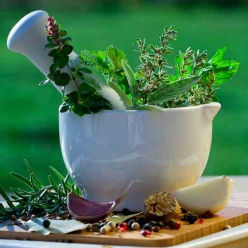 Make Your Own Herbal Medicines – Mother Earth News